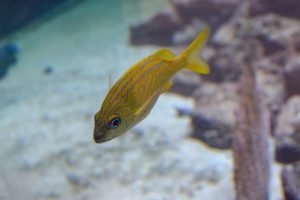 Gumbo Limbo Nature Center - Boca Raton FL - Not In Jersey