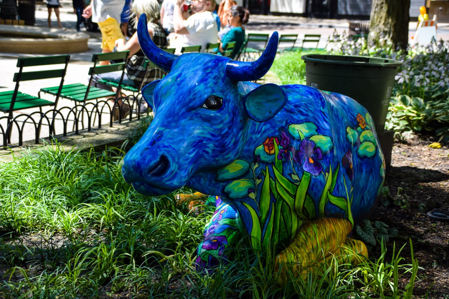 One Day in Chicago - Not In Jersey