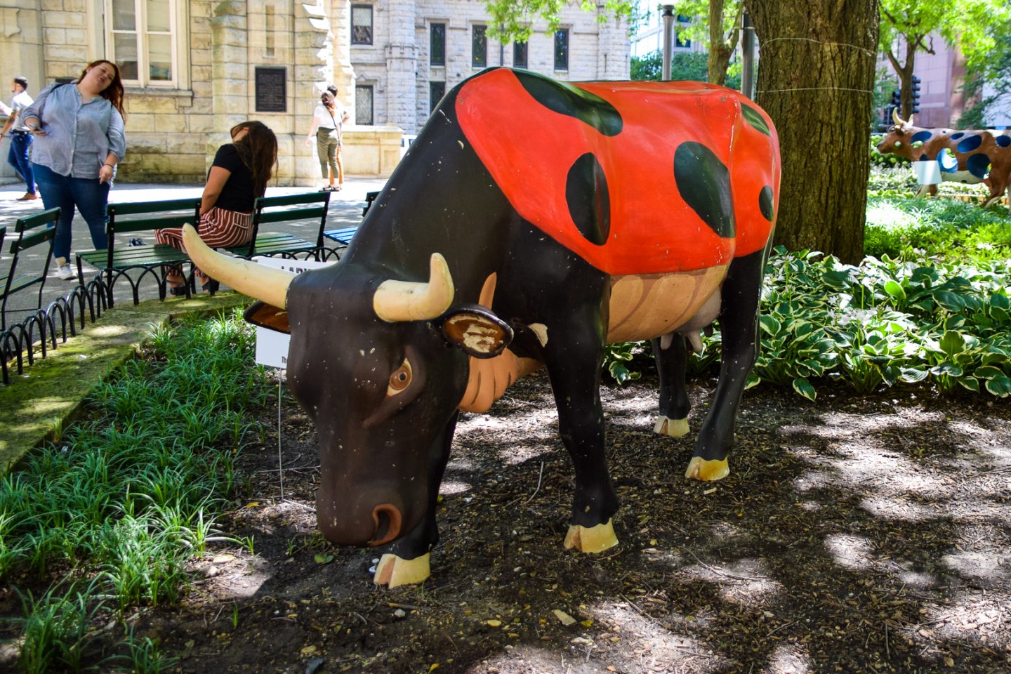 One Day in Chicago - Not In Jersey