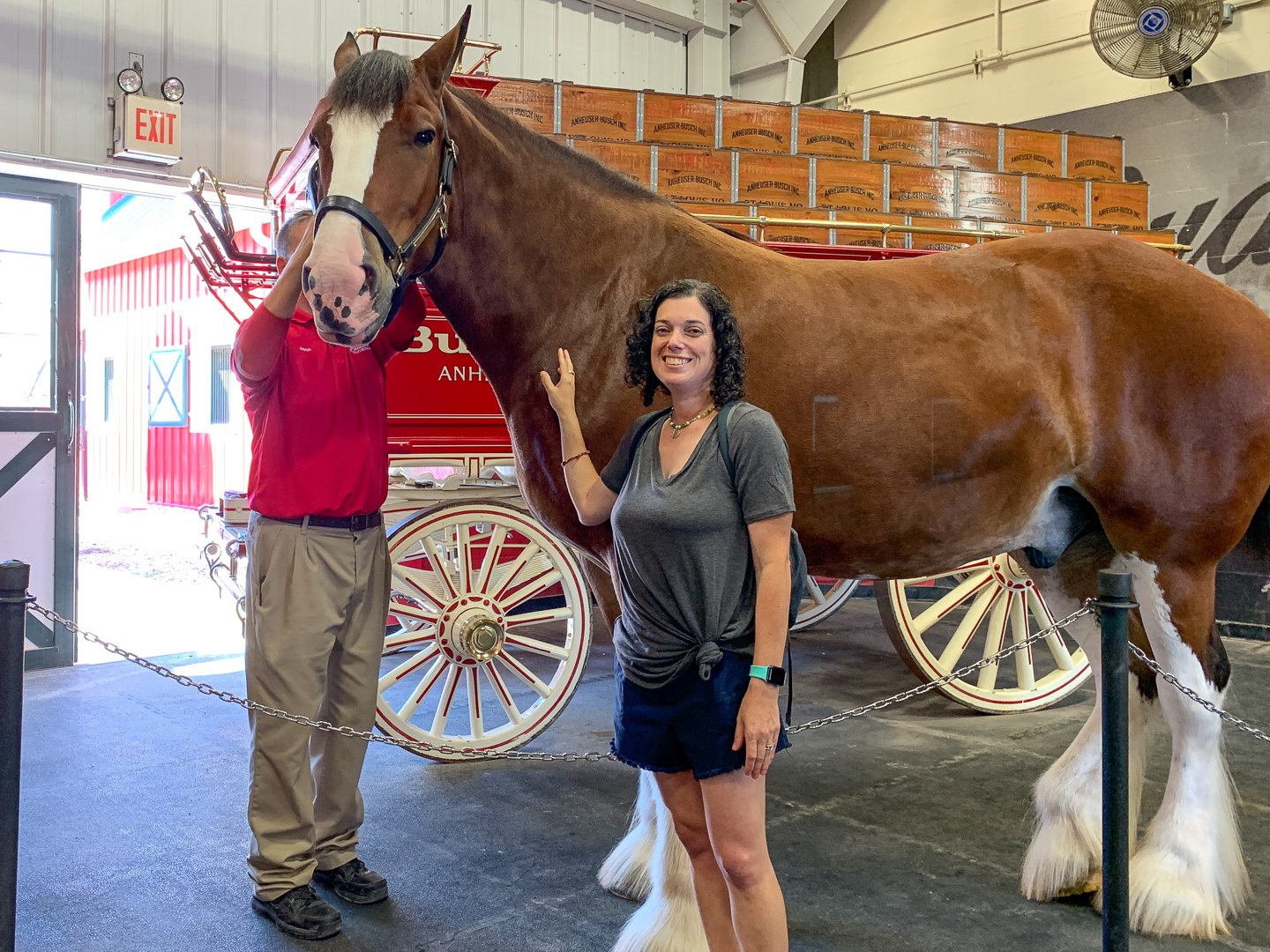 Day Trip to Warm Springs Ranch - Budweiser Clydesdales - Not In Jersey
