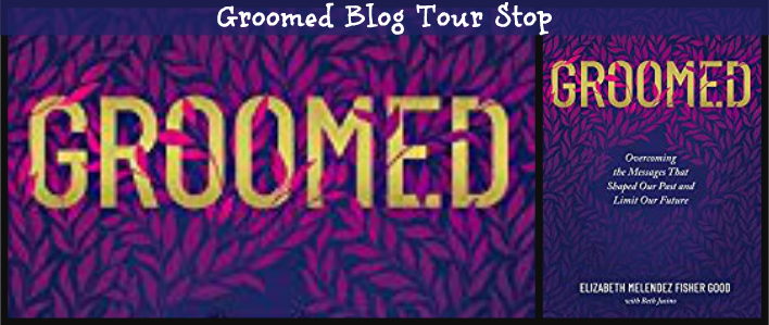 Groomed Book Tour Stop - Not In Jersey