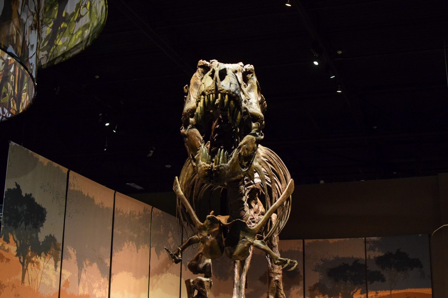 Tellus Science Museum - Cartersville, GA - Not In Jersey