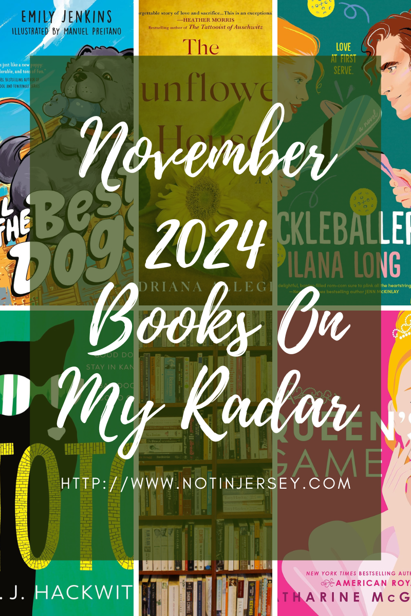 November 2024 Books On My Radar - Not In Jersey