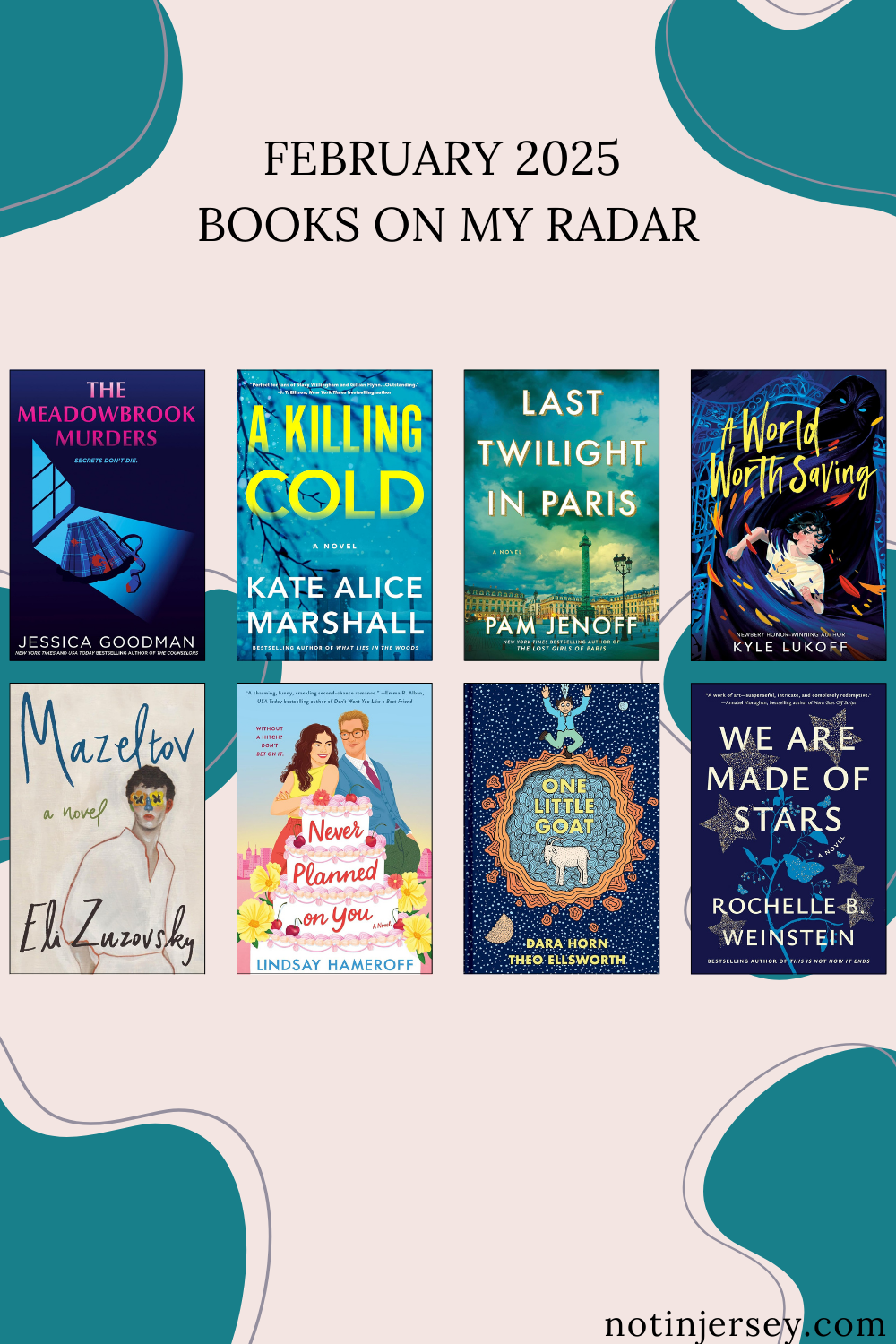 February 2025 Books On My Radar - Not In Jersey